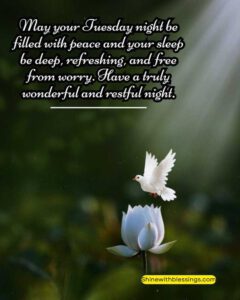 Happy Tuesday Blessings, Prayers and Quotes to Get Inspired