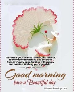 120+ Powerful Good Morning Tuesday Blessings and Greetings